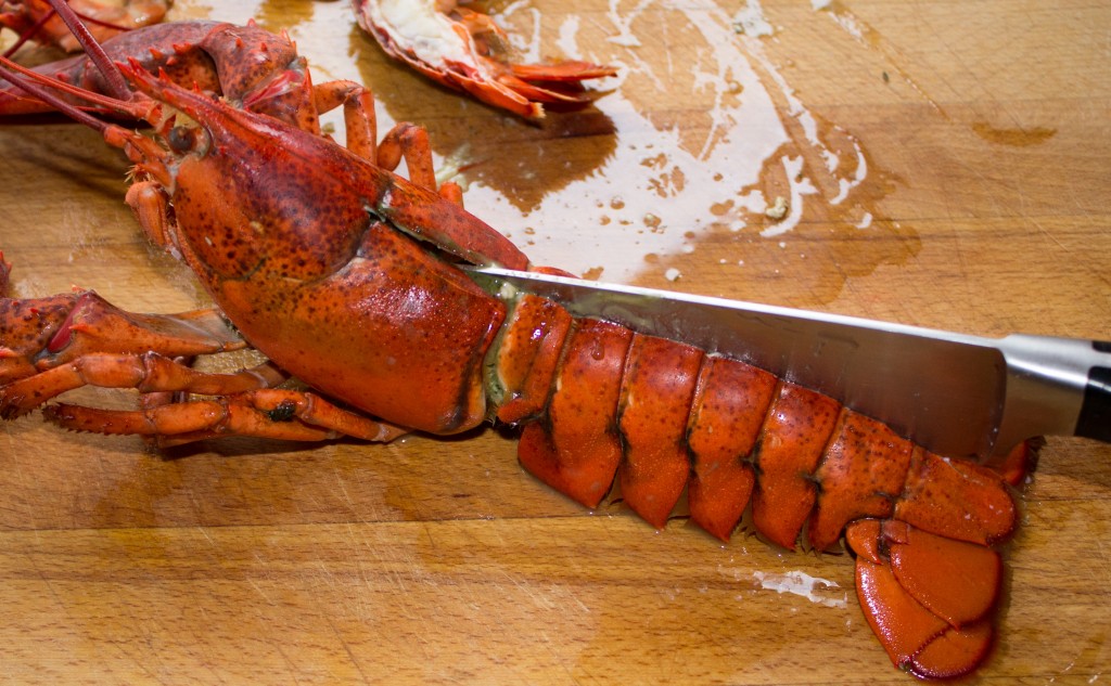 Homard rôti | Thermostat7